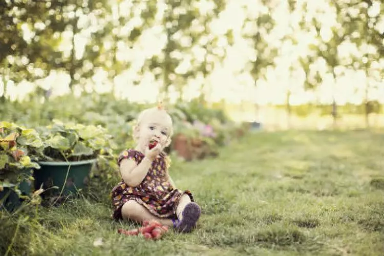 Organic for babies: 10 everyday tips