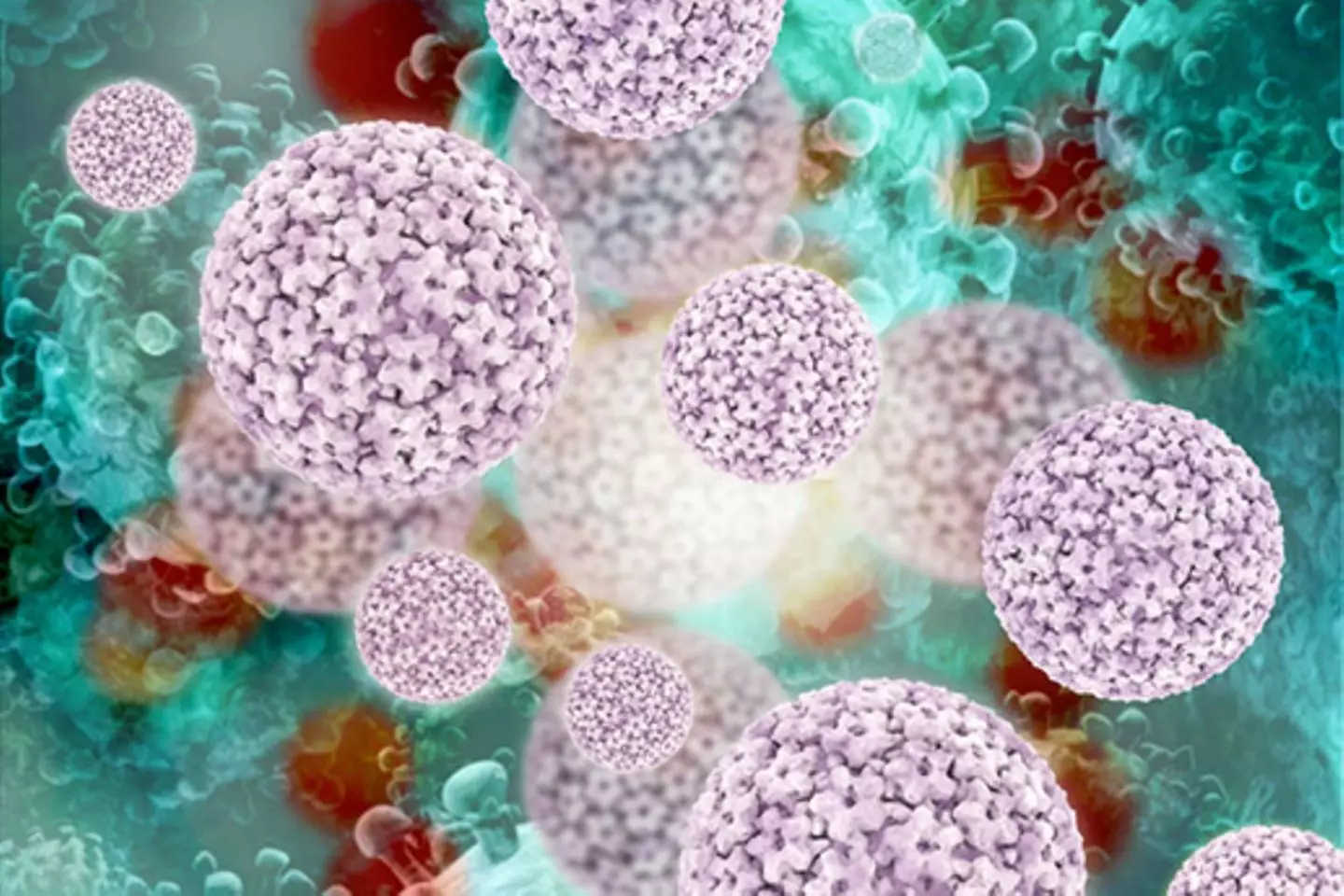 virusul HPV